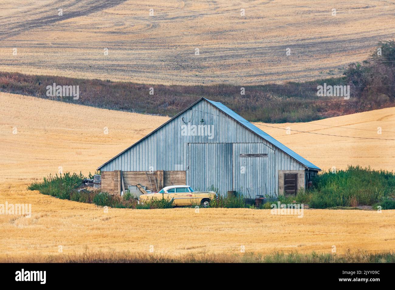 USA, Washington State, Whitman County. Palouse. September 6, 2021. 1954 ...
