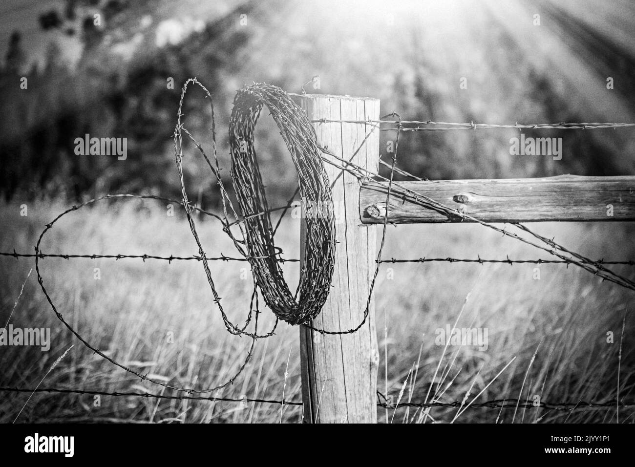 USA, Washington State, Whitman County. Palouse. Barbed wire fence Posts ...