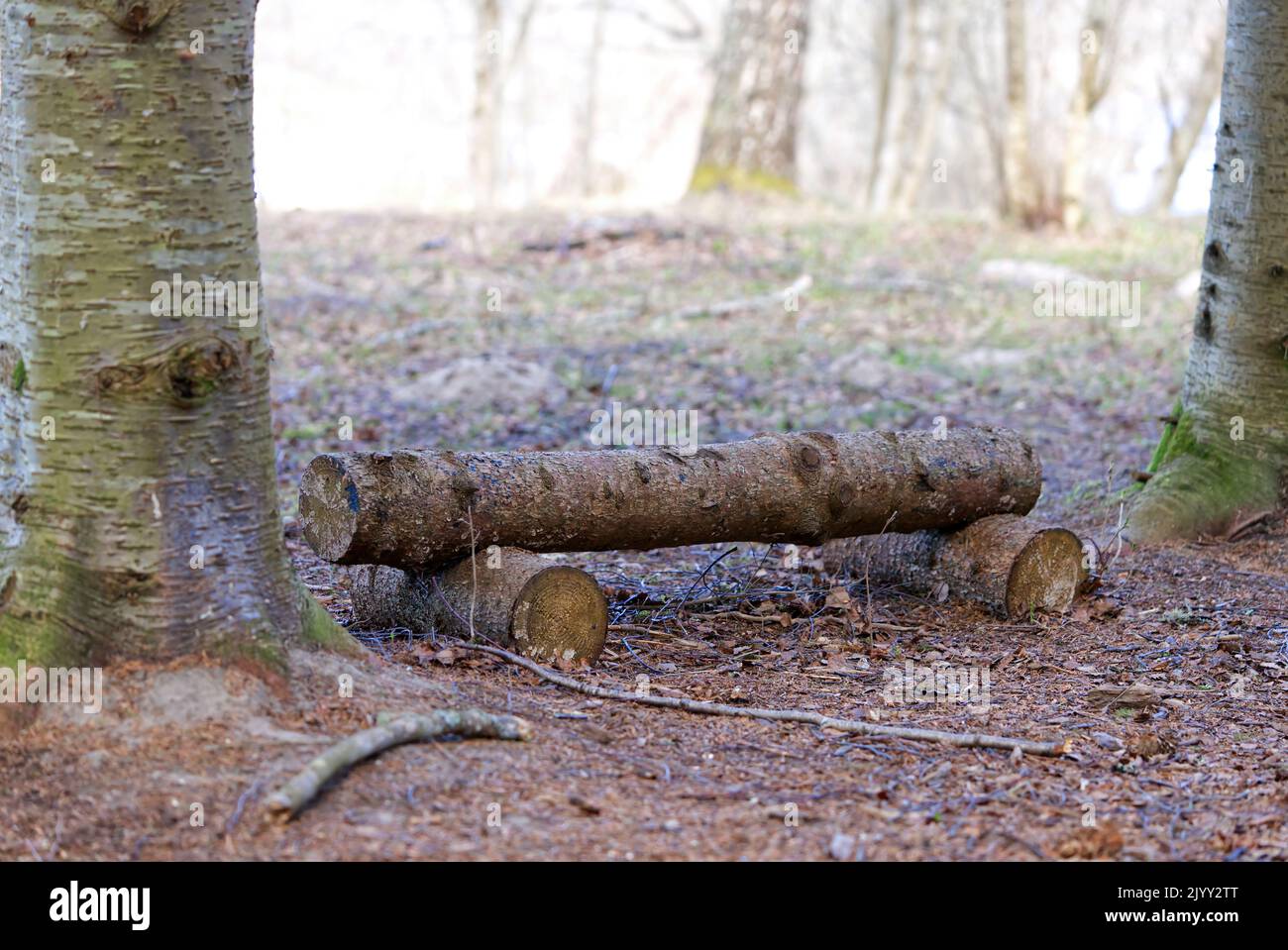 A log bench in forest. Old Wooden seat In park Stock Photo - Alamy