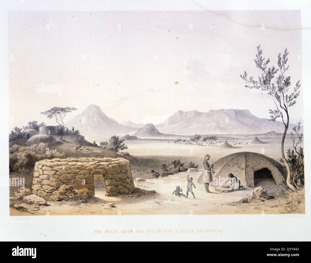 Abida hi-res stock photography and images - Alamy