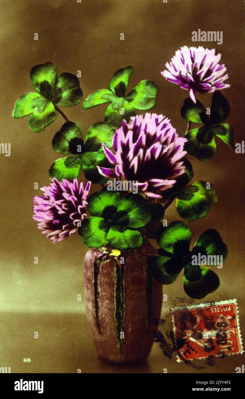 Paeonyis hi-res stock photography and images - Alamy