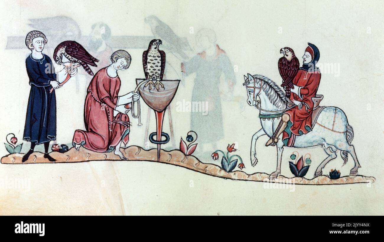 Frederick II (1194 - 1250); Holy Roman Emperor with falcons, King of ...