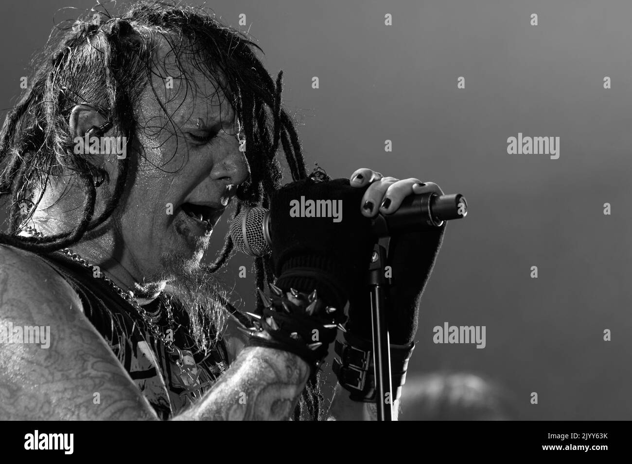 Paul brady singer hi-res stock photography and images - Alamy