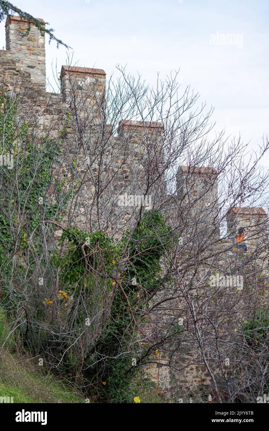 Rumeli Fortress in Istanbul, Turkey. Rumelihisari. Rumeli Hisari ...