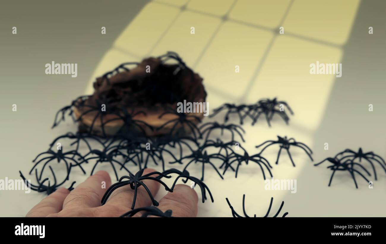 Spider crawling on thumb hi-res stock photography and images - Alamy