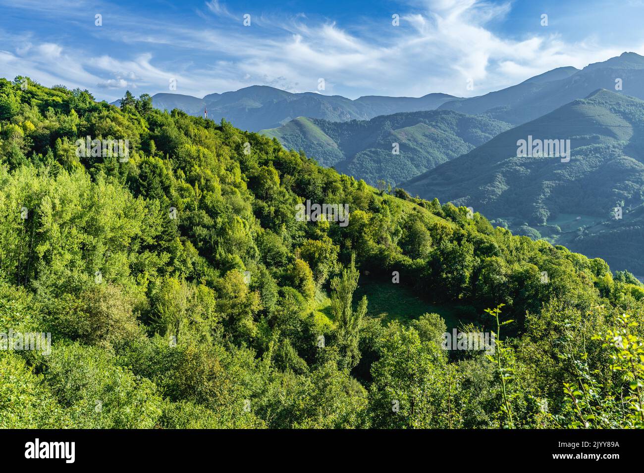 Forest and mountains in Teberga, Teverga, Ubinas La Mesa Natural Park ...