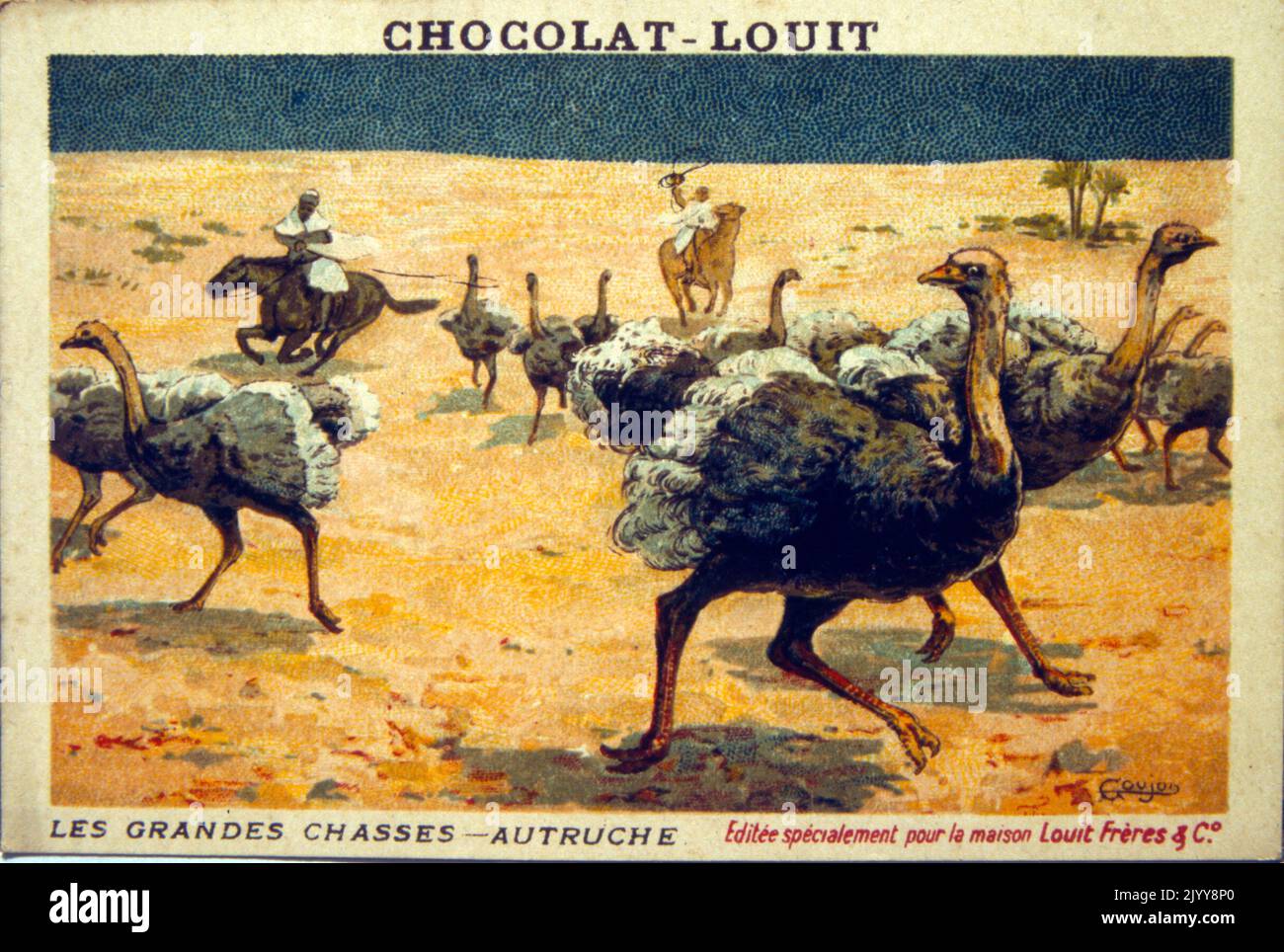 Coloured Illustration depicting a series of animals being hunted ...