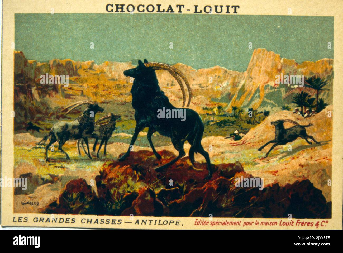 Coloured Illustration depicting a series of animals being hunted ...