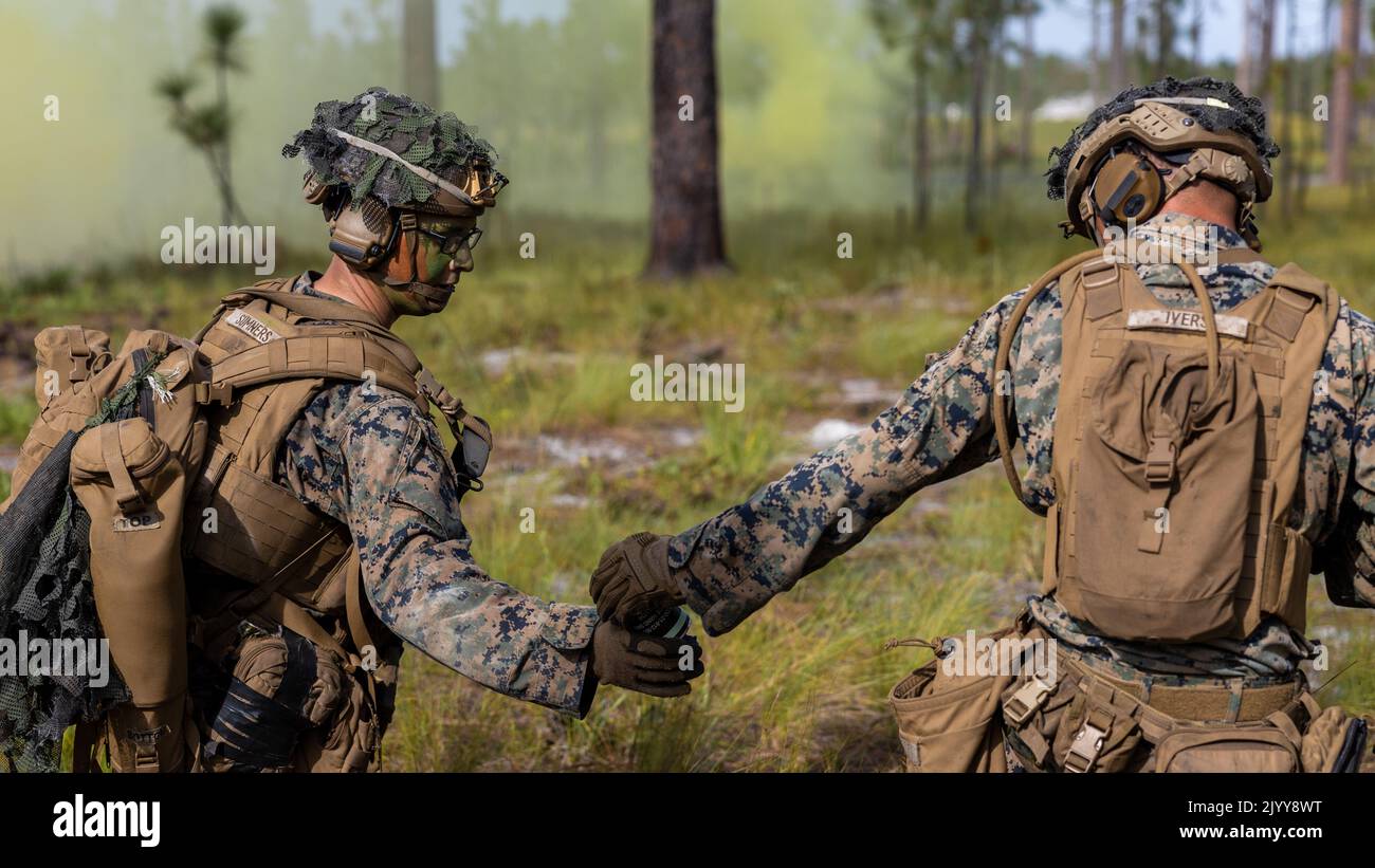 U.S Marines with 2d Combat Engineer Battalion, 2d Marine Division, pass ...
