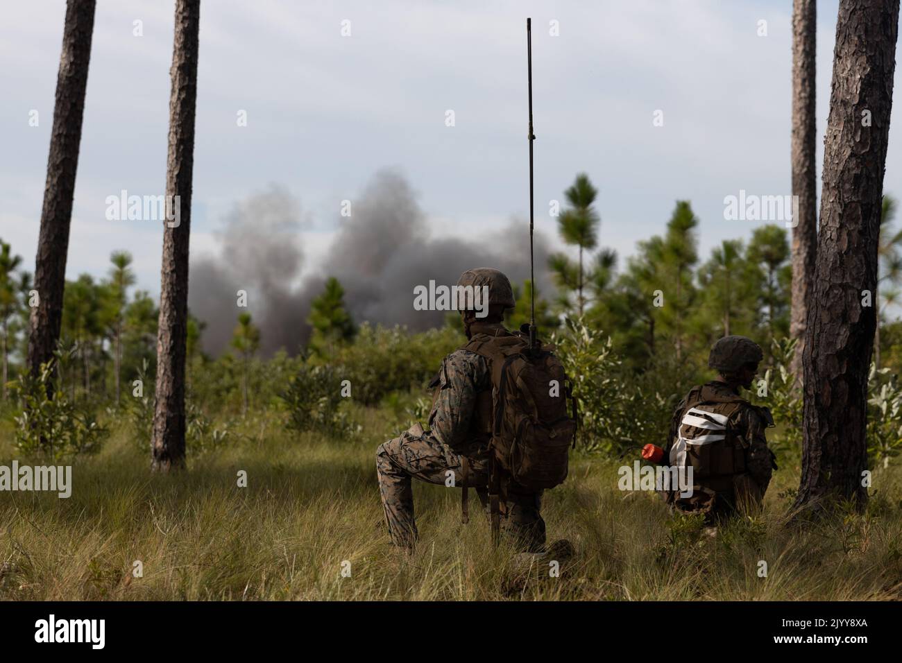 U.S Marines with 2d Combat Engineer Battalion, 2d Marine Division ...