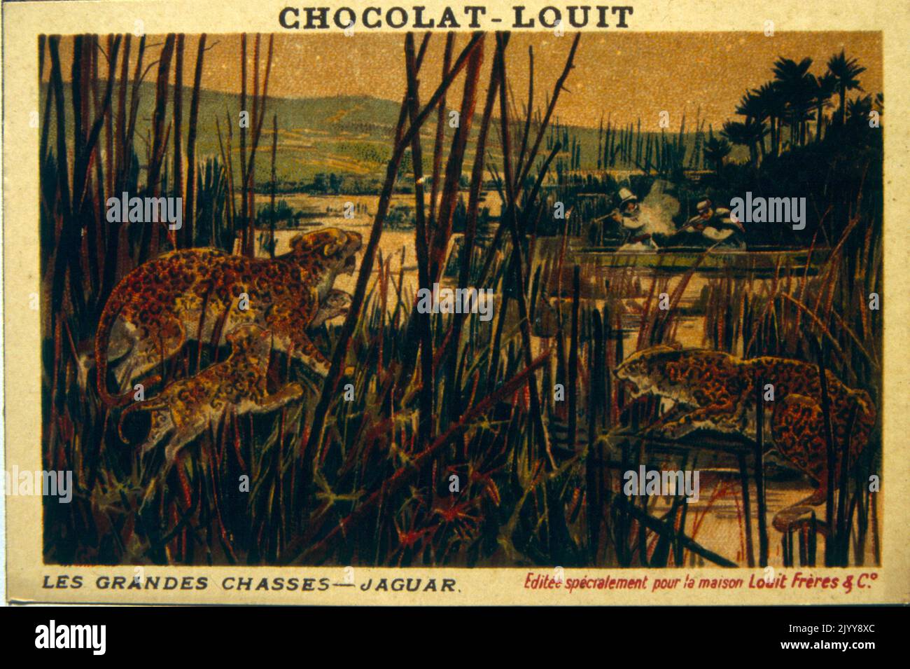 Coloured Illustration depicting a series of animals being hunted ...