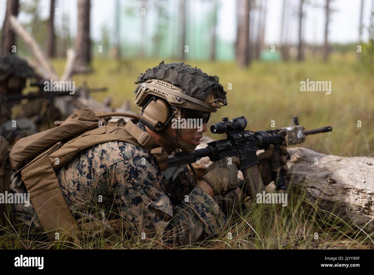 A U.S Marine with 2d Combat Engineer Battalion, 2d Marine Division ...