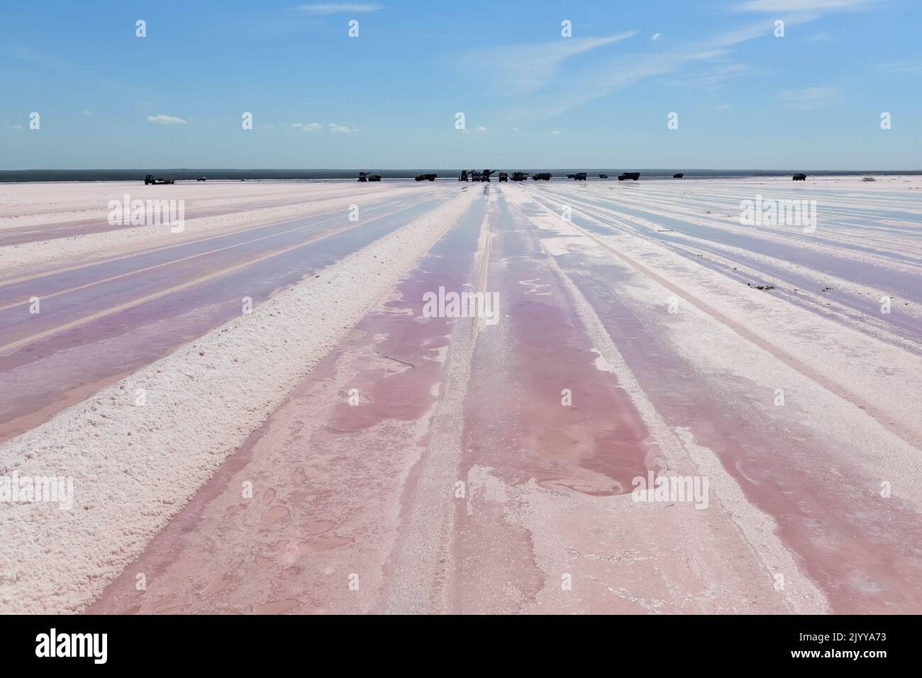 Saline, in patagonia environment, La Pampa Province, Patagonia ...