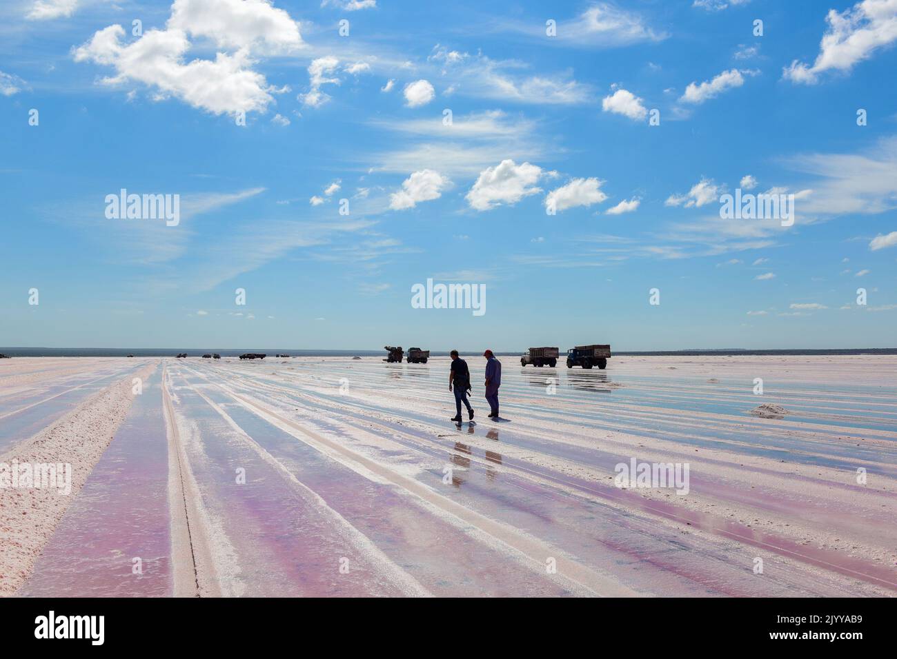 Saline, in patagonia environment, La Pampa Province, Patagonia ...