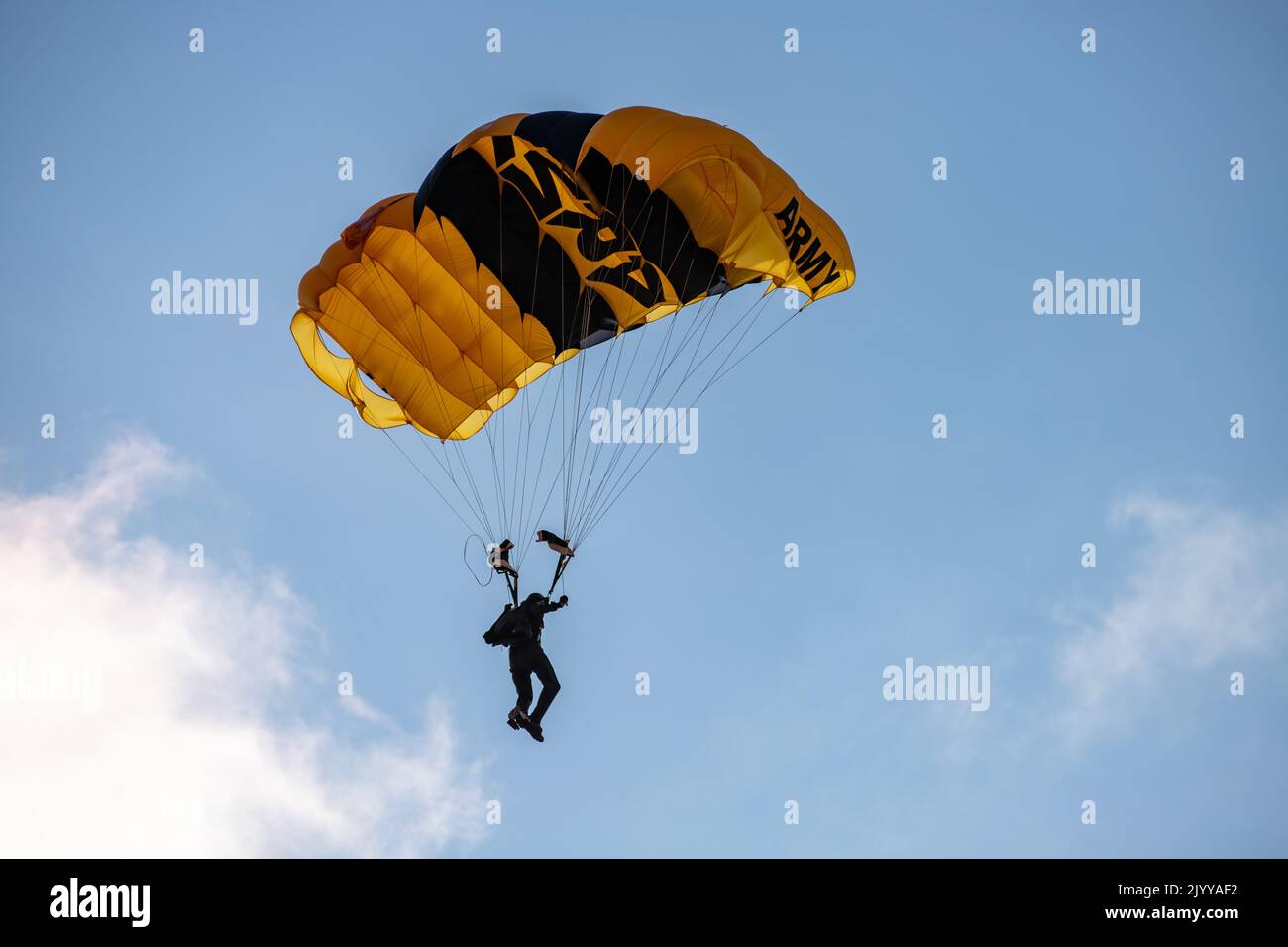 A parachutist with the U.S. Army's Parachute Team, the Golden Knights ...