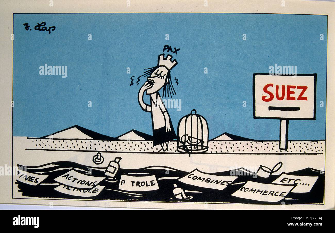 Peace And Freedom Party Political Cartoon