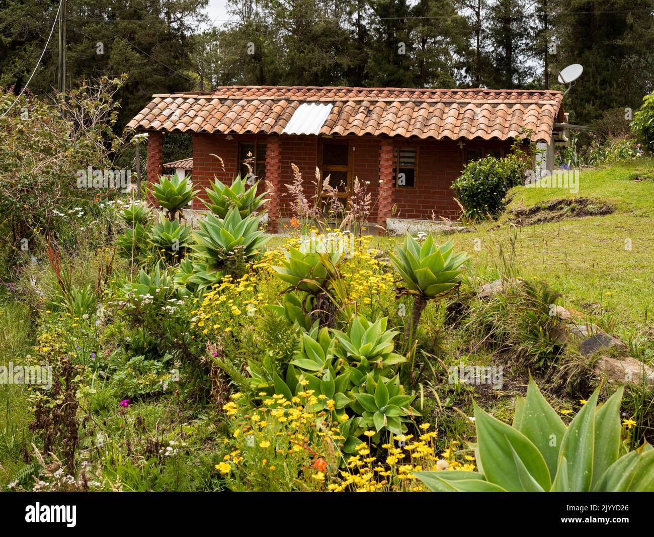 Colombian colonial architecture - Antioquia rural peasant house Stock ...