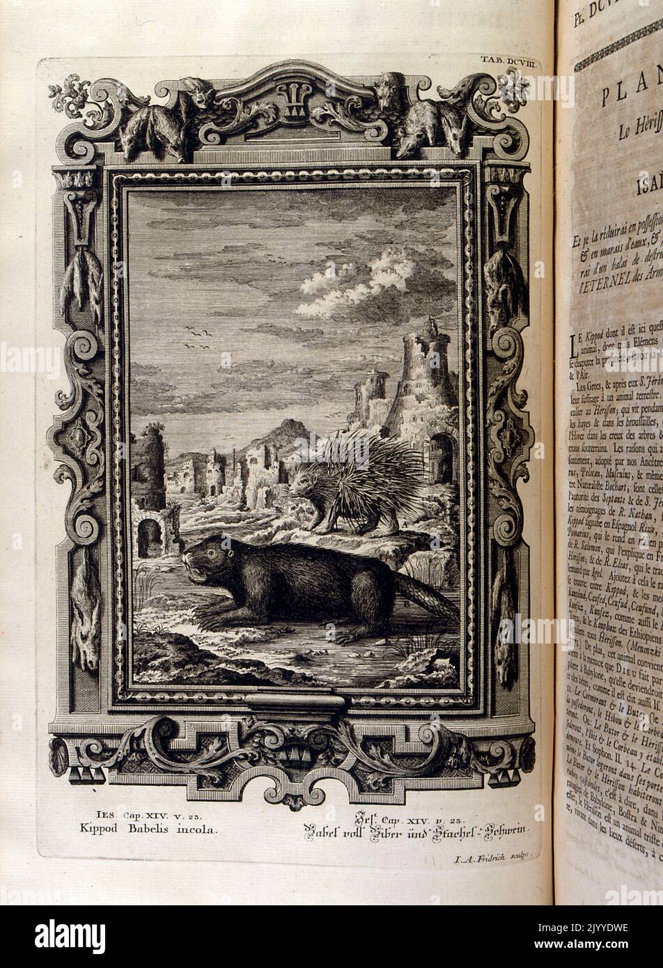 Engraving depicting a nightmarish scene of a gigantic rat taking over a ...