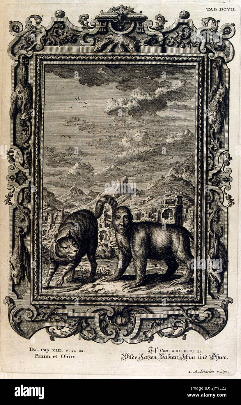 Engraving depicting two animals hi-res stock photography and images - Alamy