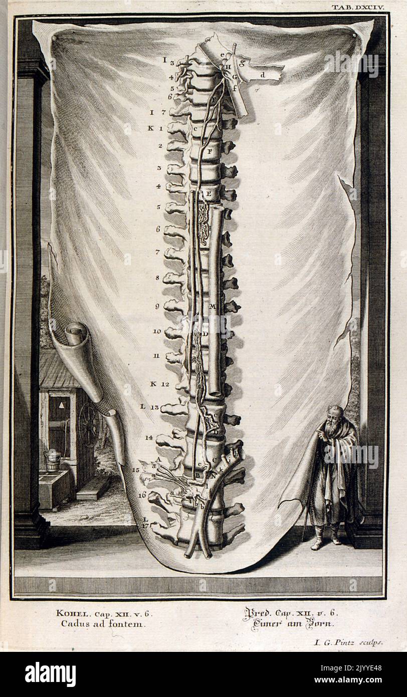 Engraving depicting the spinal column. The Illustration is set within ...