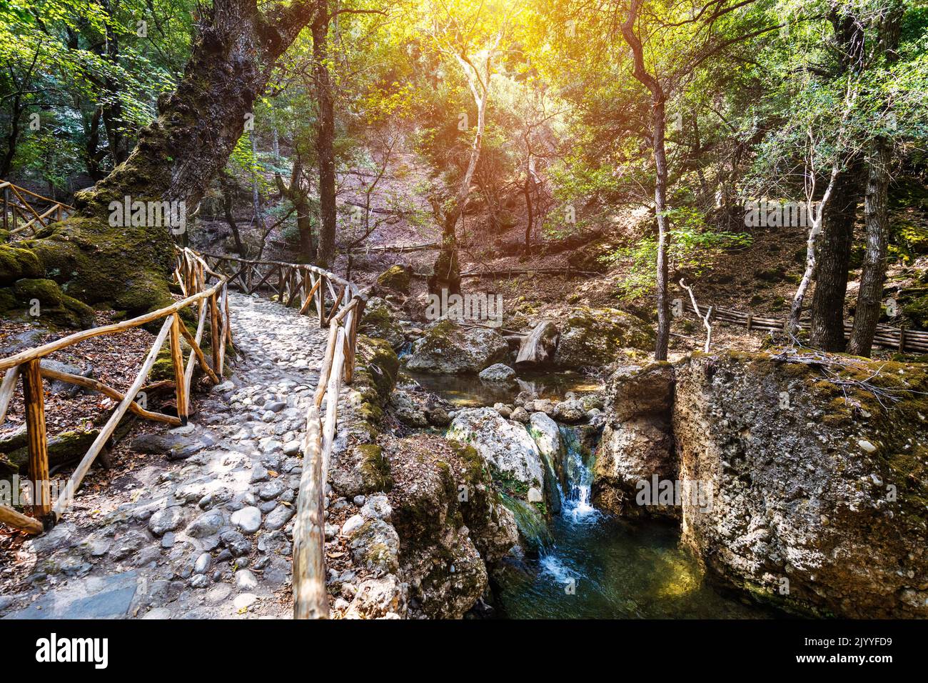 Wooden natural walking trekking path Butterflies Butterfly Valley ...