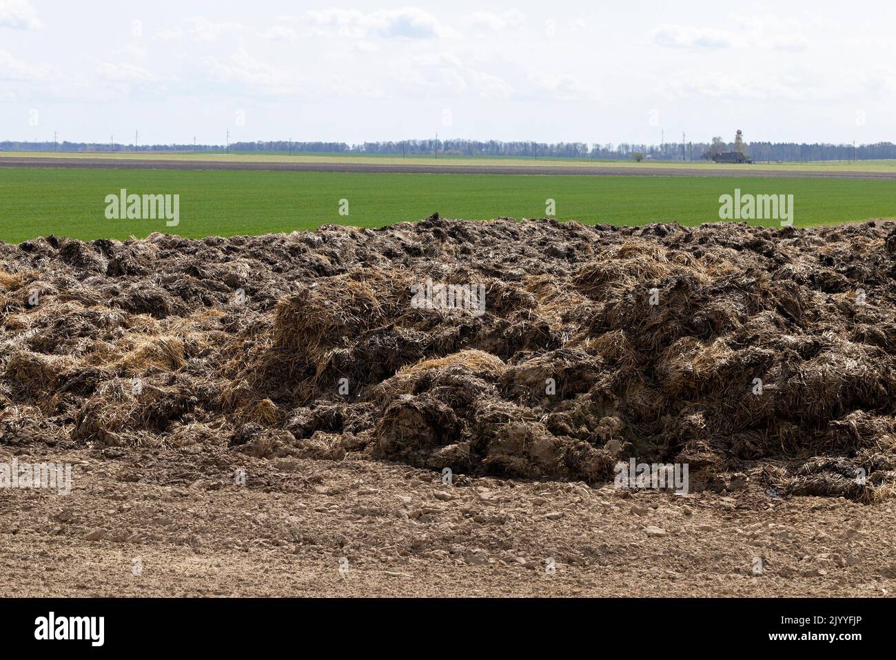 piles of humus manure on the field to fertilize the field territory ...