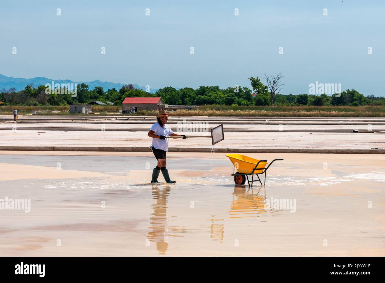 Nin, Croatia - 8 July 2021: Man picking up salt in the swamp and ...