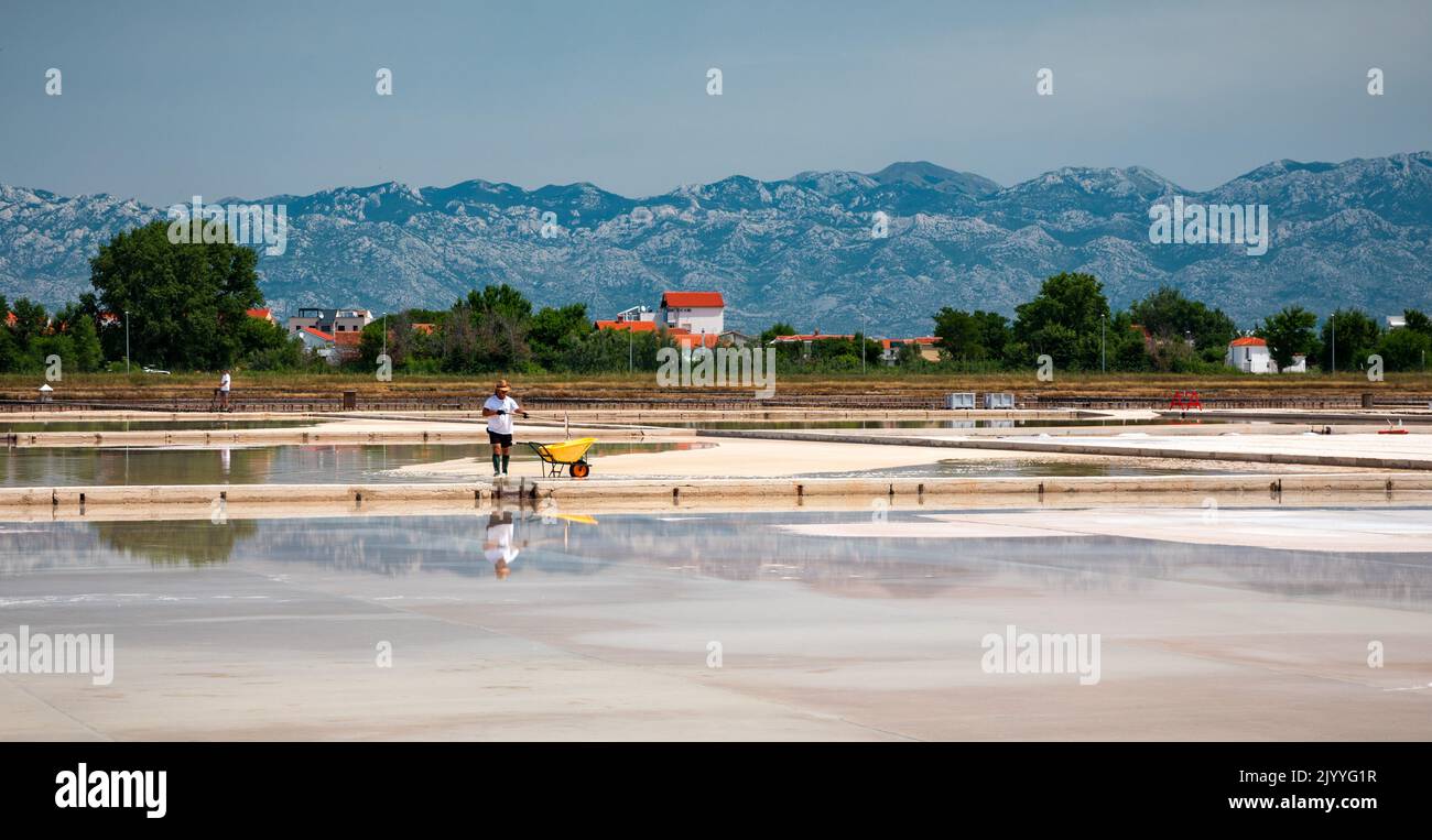 Nin, Croatia - 8 July 2021: Man picking up salt in the swamp and ...