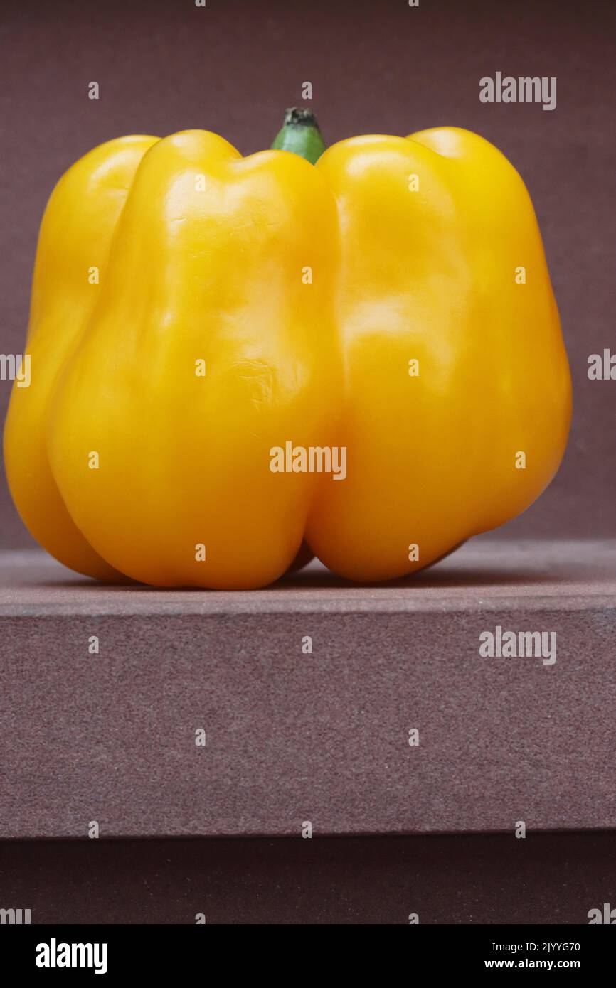 Big Yellow Paprika Sweet Pepper with green stem laying on the brown ...