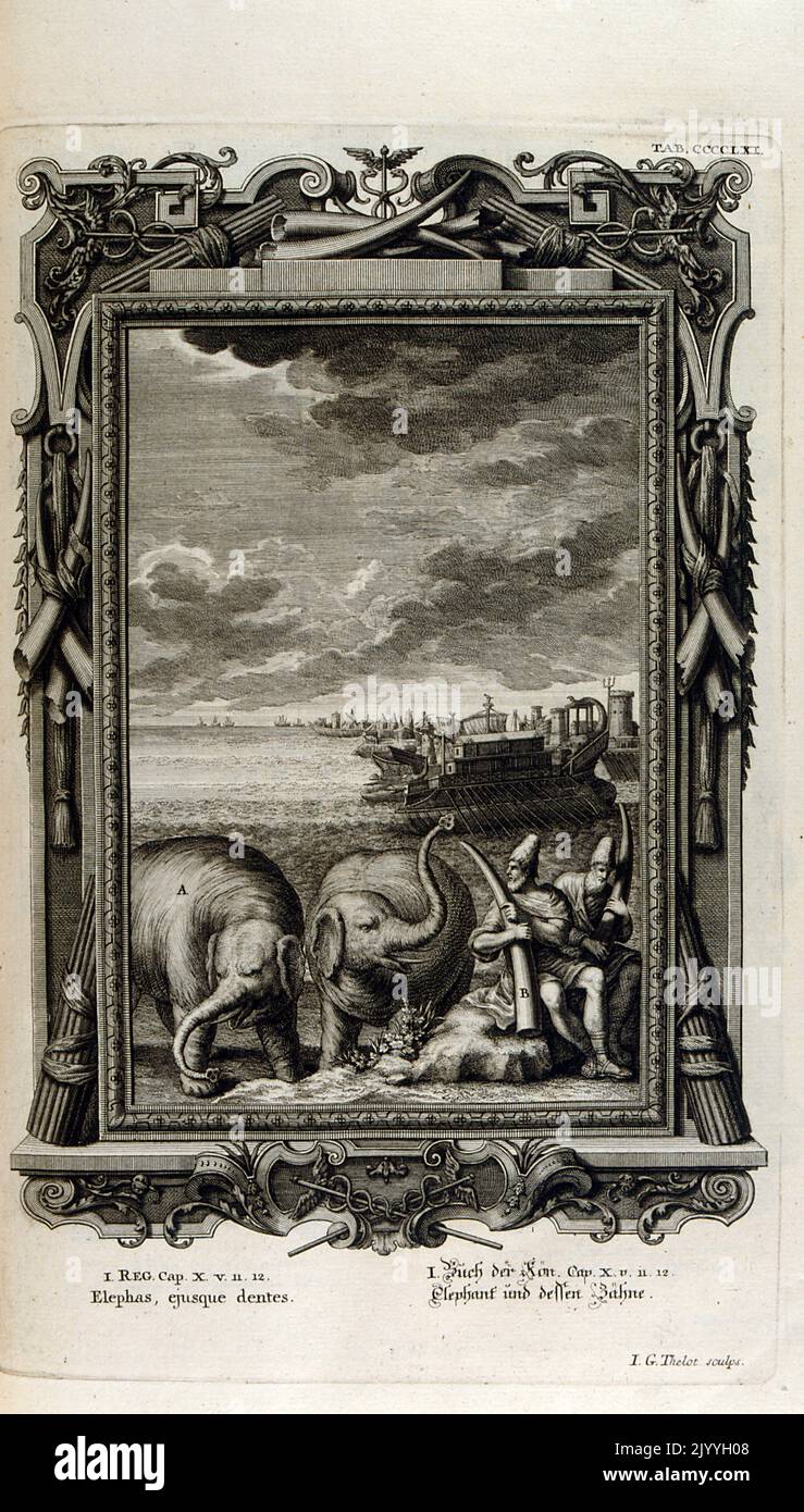 Engraving entitled 'Men stealing elephant tusks'. The Illustration is ...