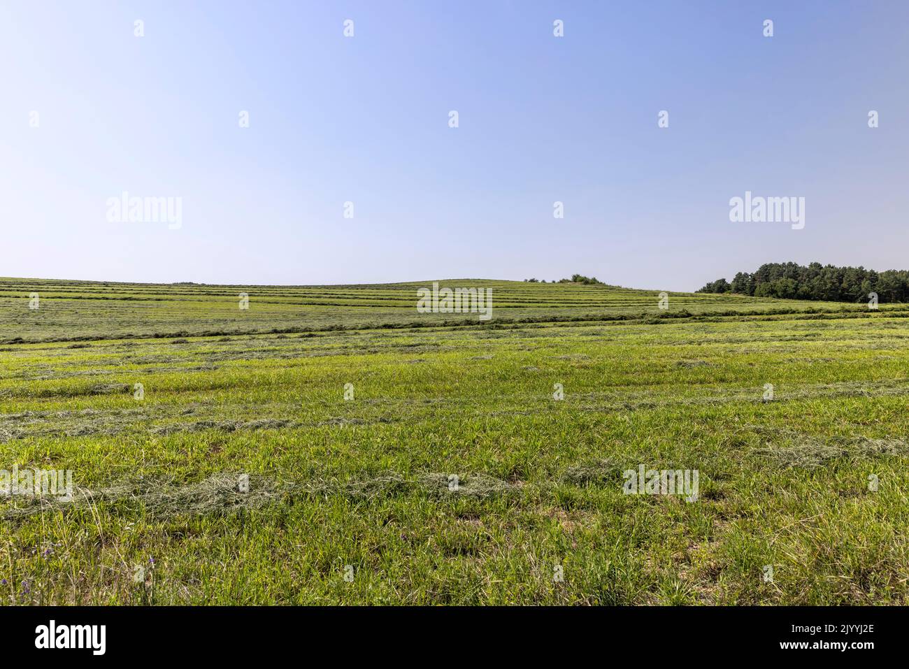 Agro lawn mowing hi-res stock photography and images - Alamy