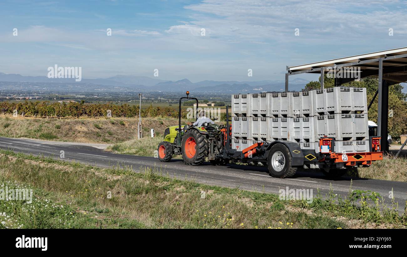 Southern Rhone, France - September 17th 2021 - Boxes of freshly picked ...