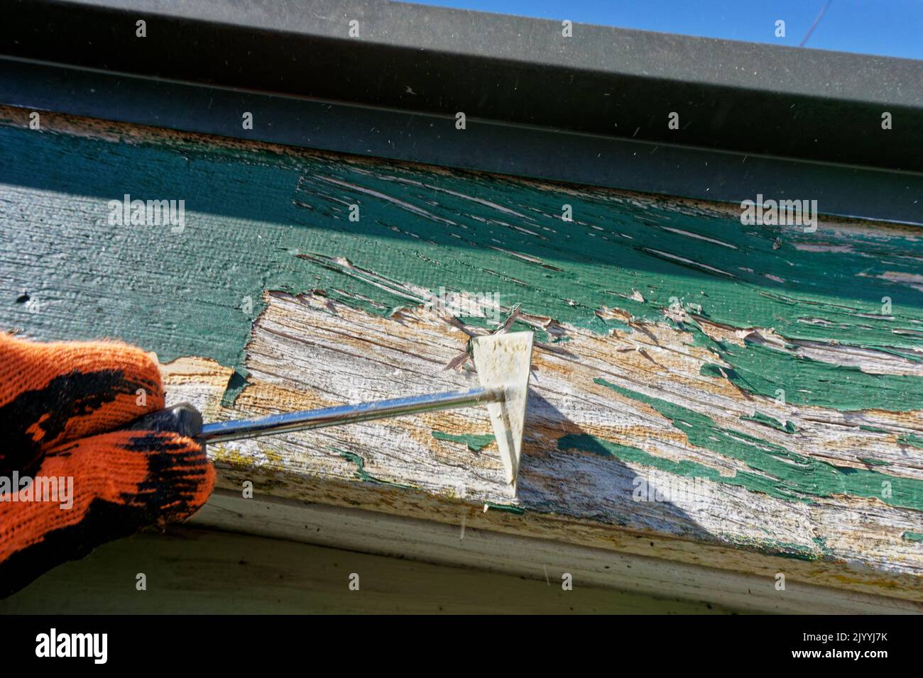 A gloved hand using a scraper to remove old and flaking paint from ...