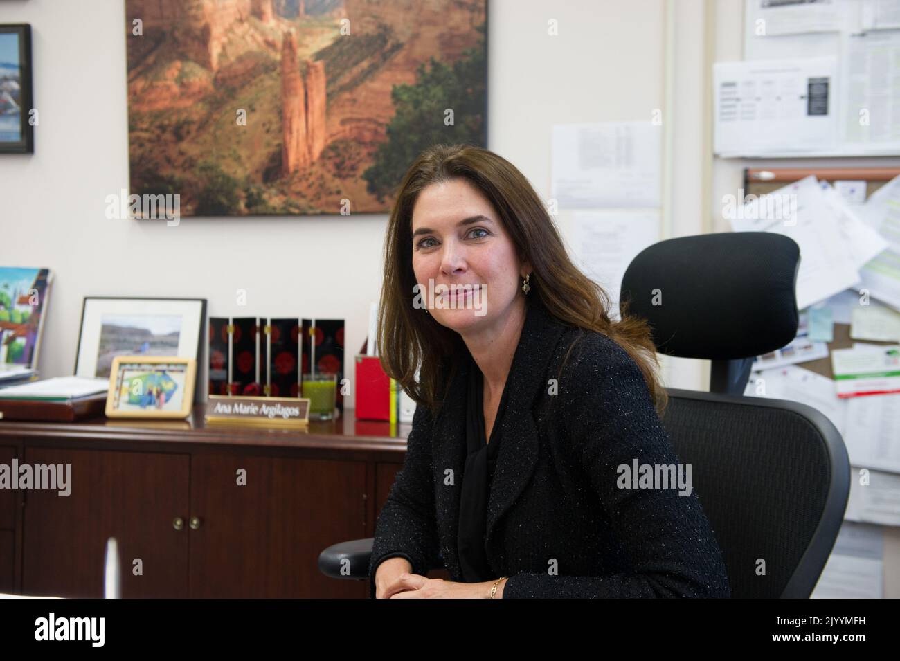 Office shot of Ana Marie Argilagos, Deputy Assistant Secretary, Office ...