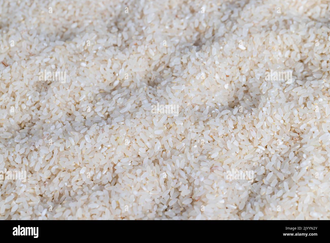 a pile of scattered white rice on the kitchen table, white uncooked ...