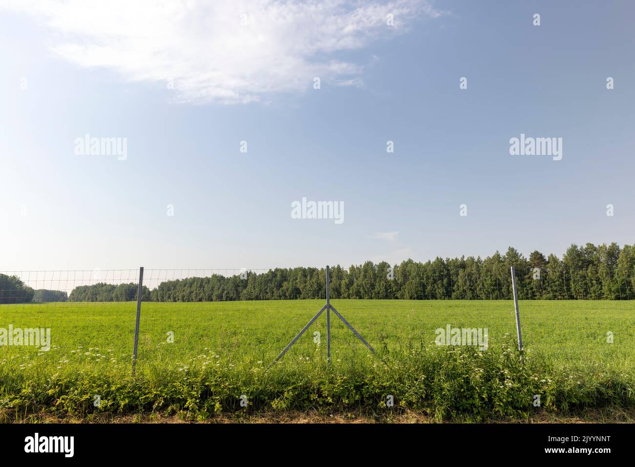 Metal fences for animal protection, an iron fence near the expressway ...