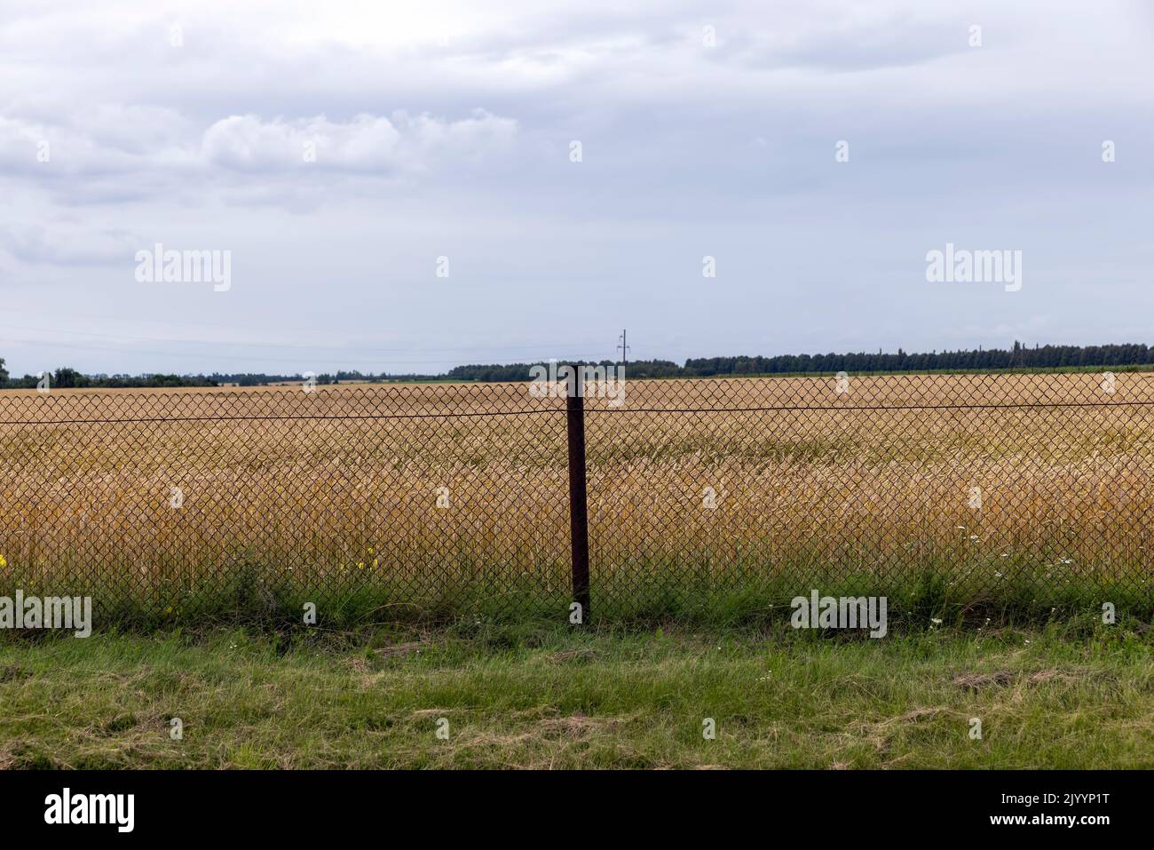 Old fencing to protect private territory, simple fencing fence to ...