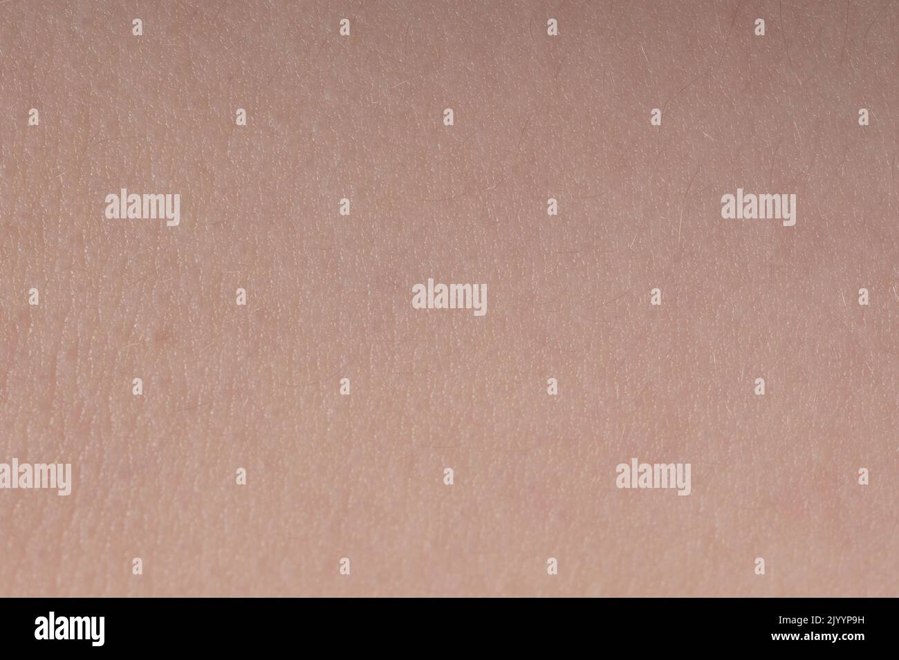 Blank human clean skin texture background macro close up view Stock ...