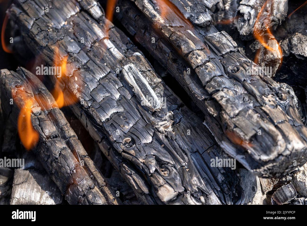 Camp fire smoke with trees hi-res stock photography and images - Alamy
