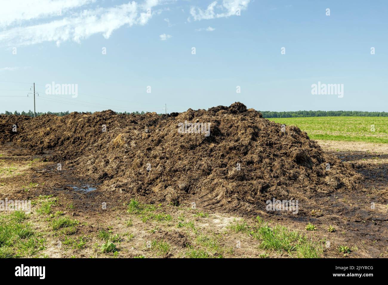 Manure for fertilizing the soil in the field, natural fertilizers ...