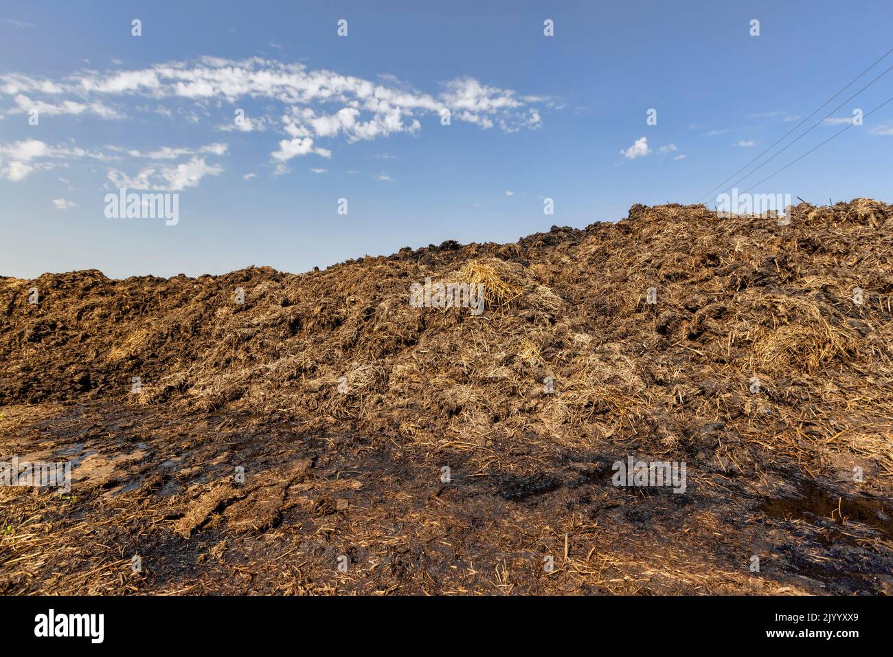 Manure for fertilizing the soil in the field, natural fertilizers ...