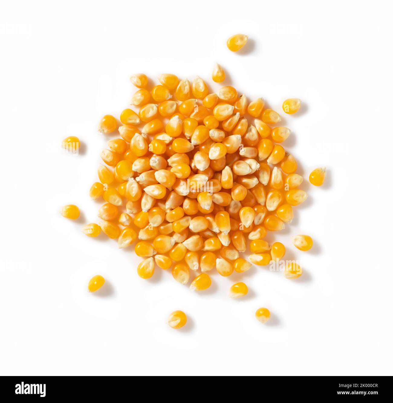 Dried corn kernels placed on a white background. Corn for popcorn. View ...