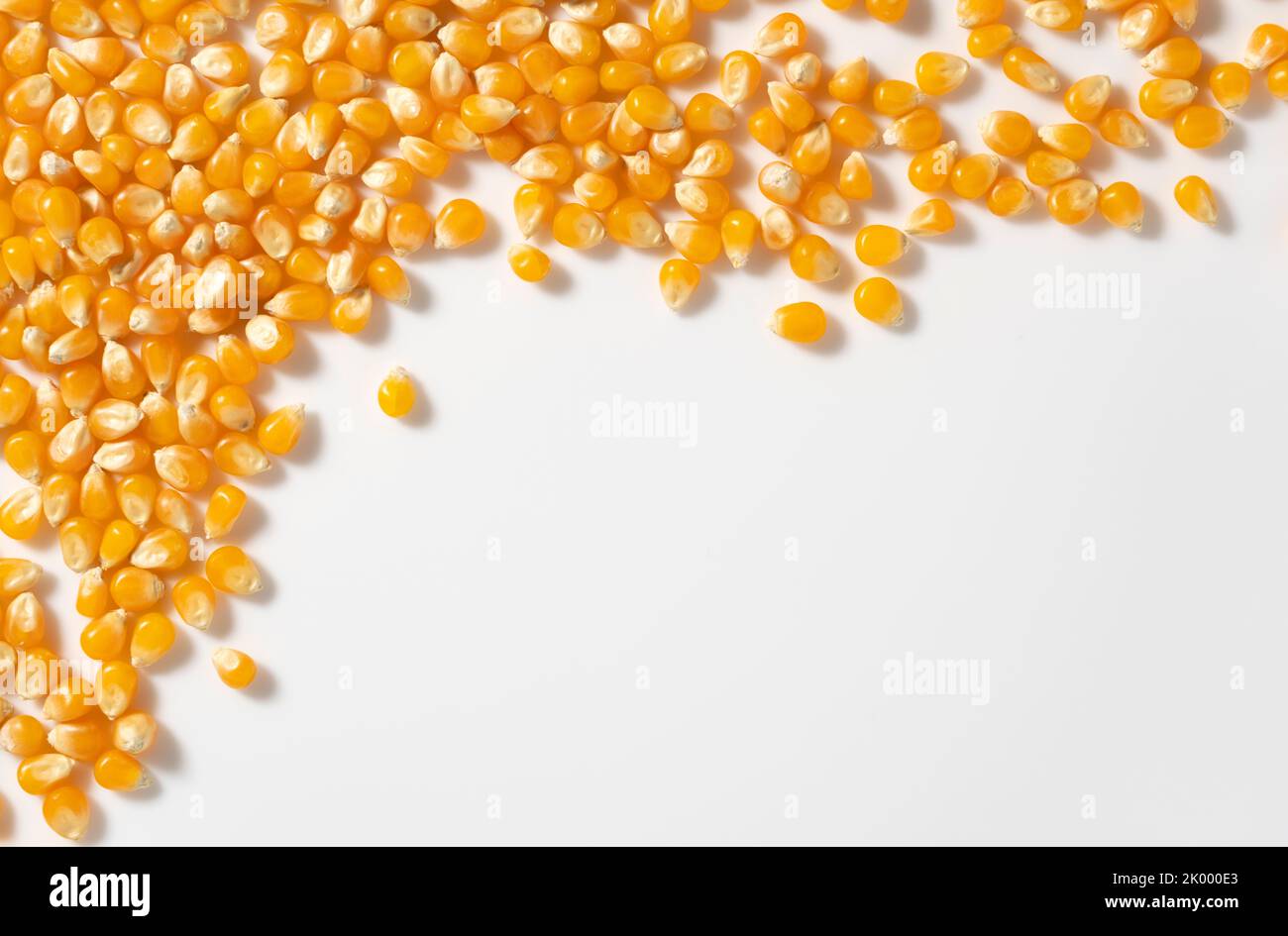 Dried corn kernels placed on white background with copy space. Corn for ...