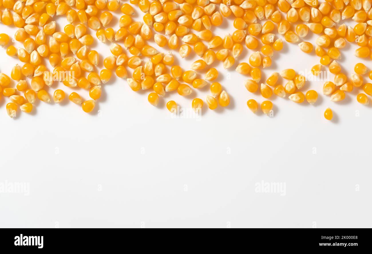 Dried corn kernels placed on white background with copy space. Corn for ...