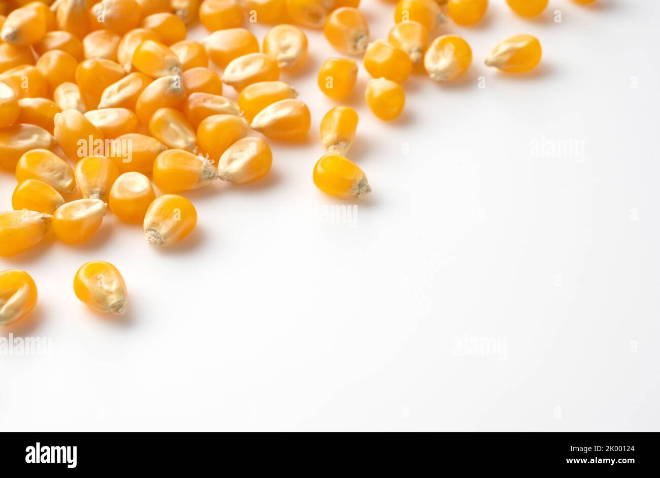 Dried corn kernels placed on white background with copy space. Corn for ...