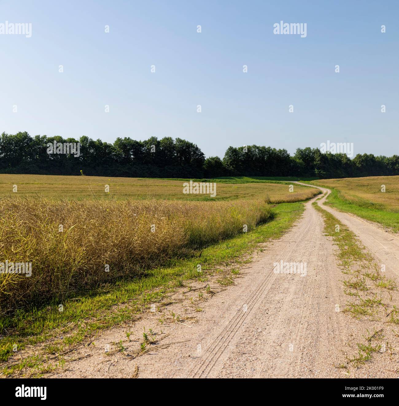Gravel highway in rural areas , a simple primitive road for the ...