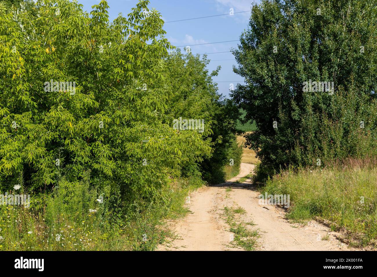 Gravel highway in rural areas , a simple primitive road for the ...