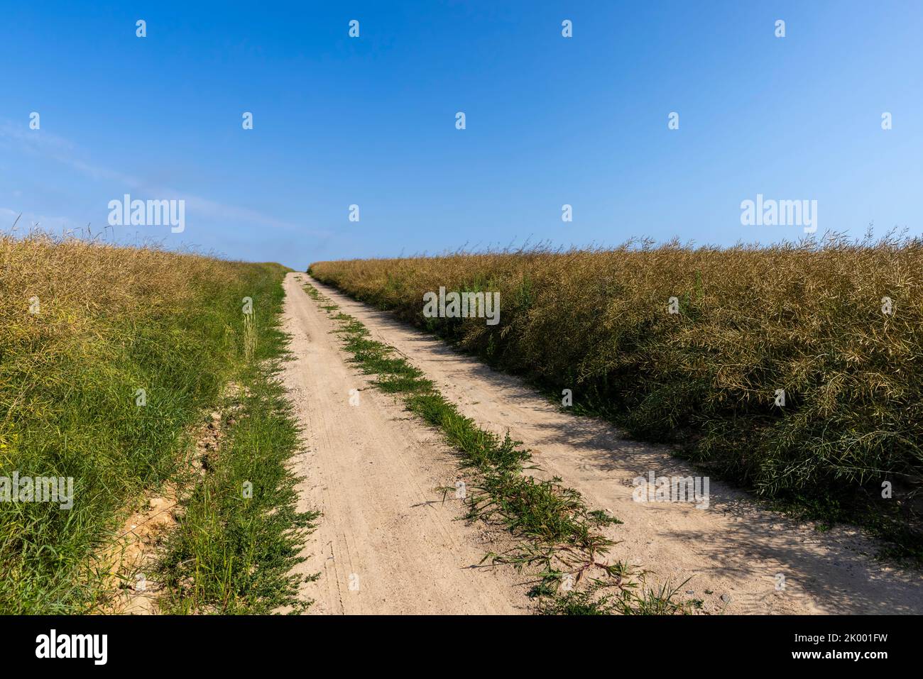 Gravel highway in rural areas , a simple primitive road for the ...