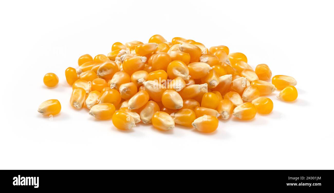 Dried corn kernels placed on white background. Corn for popcorn Stock ...