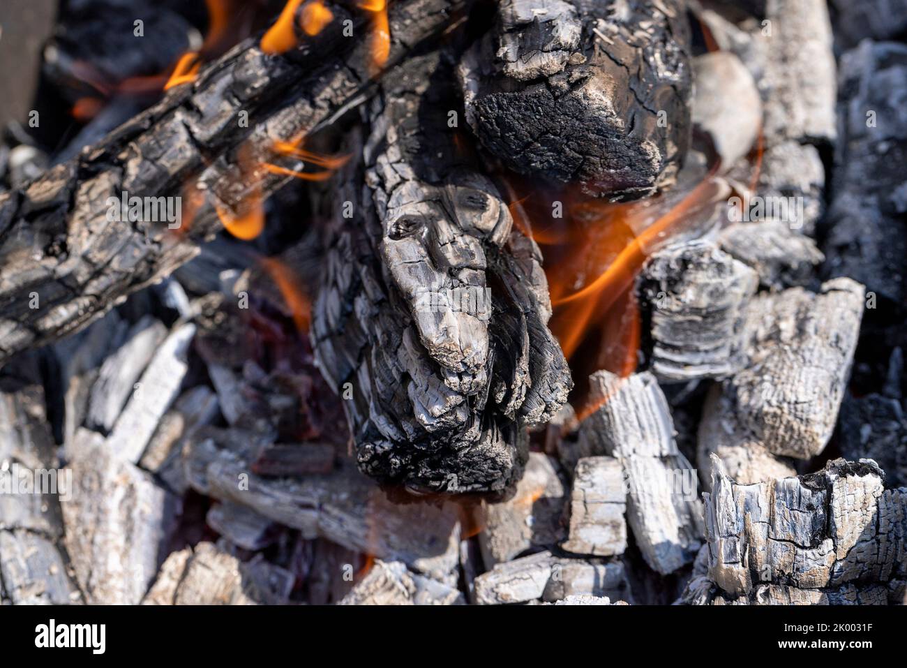 Camp fire smoke with trees hi-res stock photography and images - Alamy